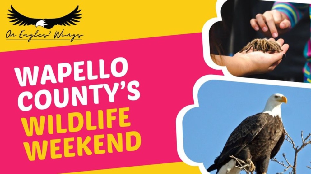 On Eagles' Wings: Wapello County's Wildlife Weekend - Bridge View ...